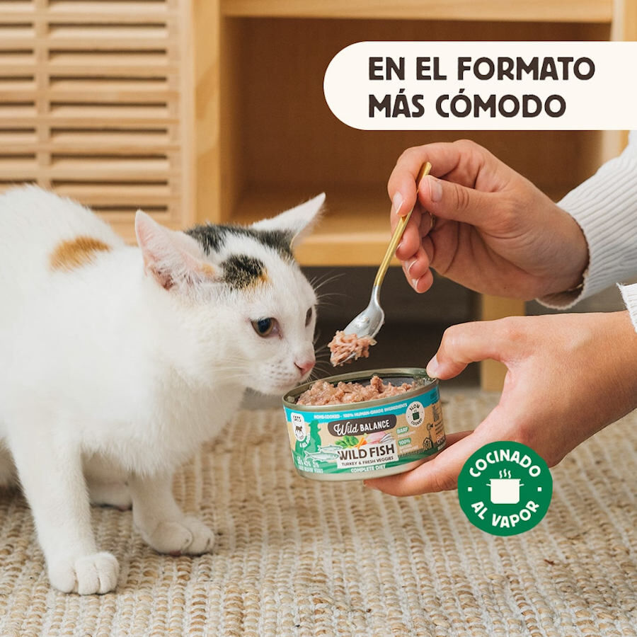 120 g Wild Balance BARF Alimento húmido de peixe e peru em lata para gatos