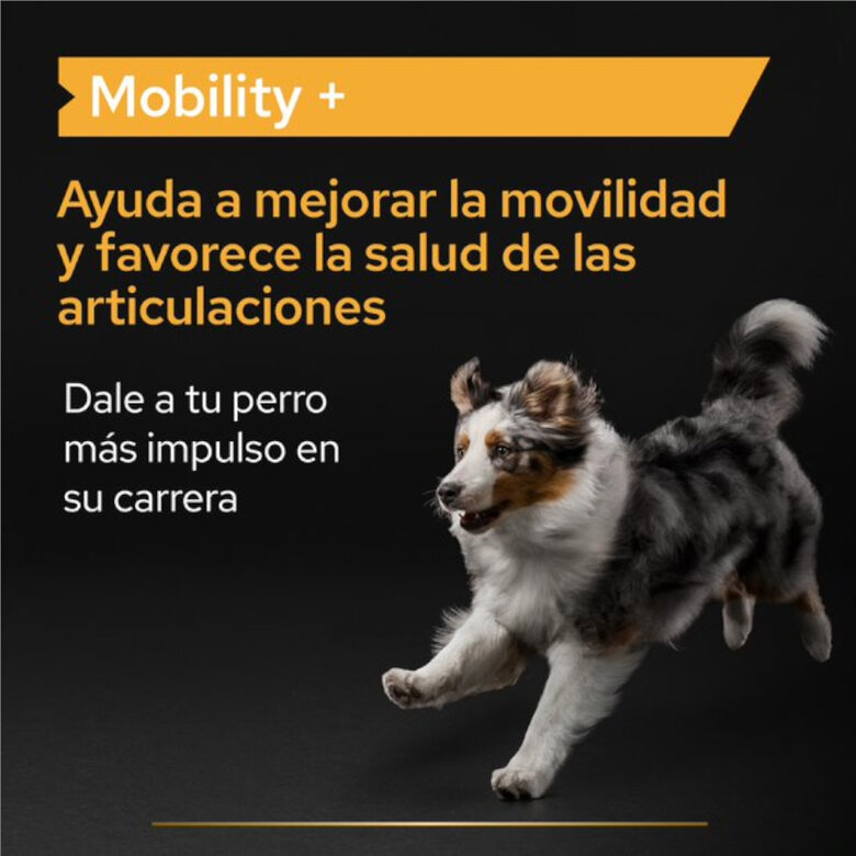 Pro Plan Mobility+ Suplemento para cães | Kiwoko