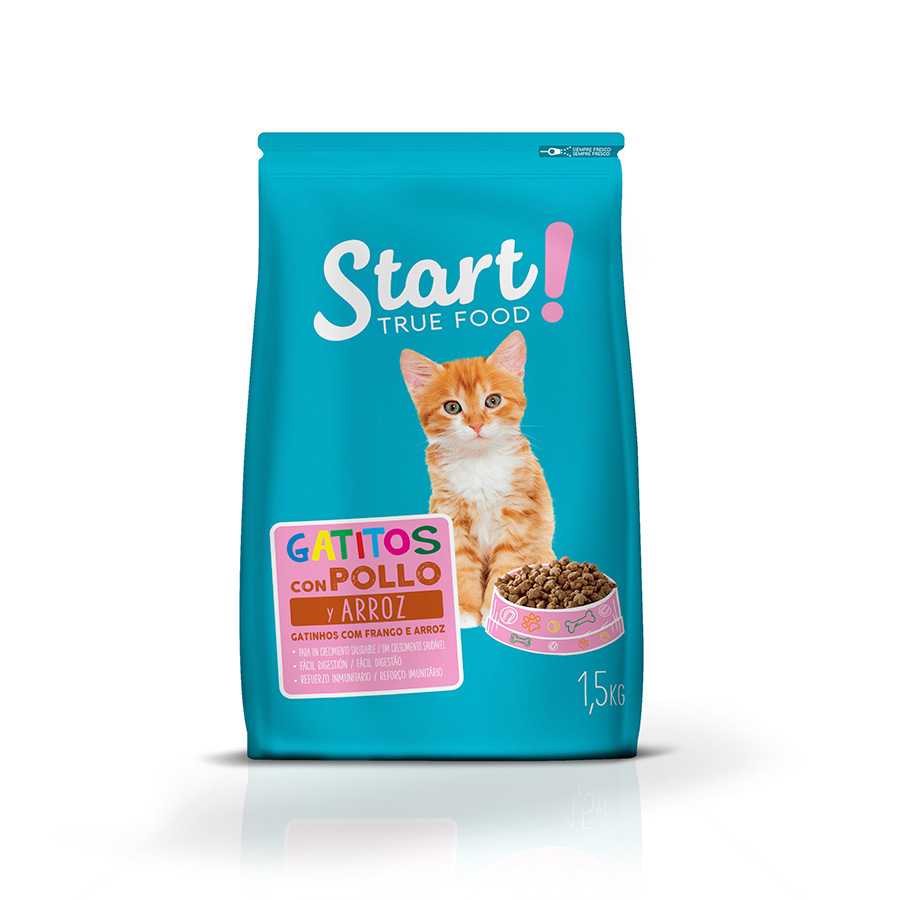 Start Feline Junior | Kiwoko
